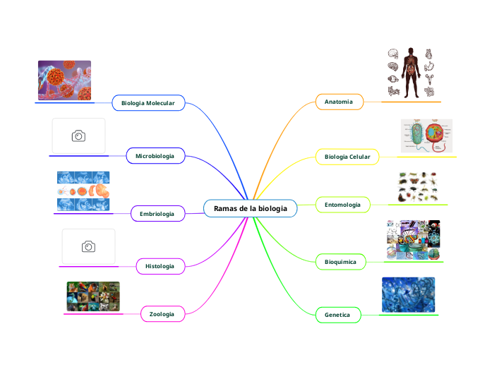 Ramas de la biologia - Mind Map